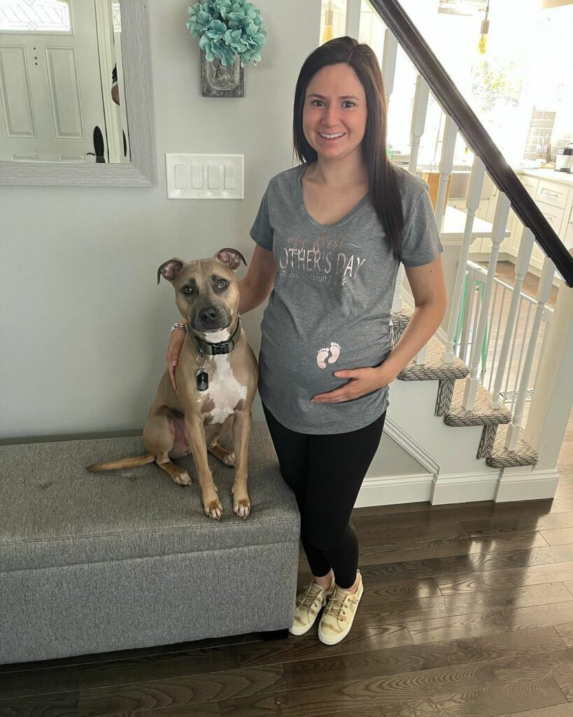 Couple Discovers Life-Changing Secret About Their Beloved Rescue Pittie