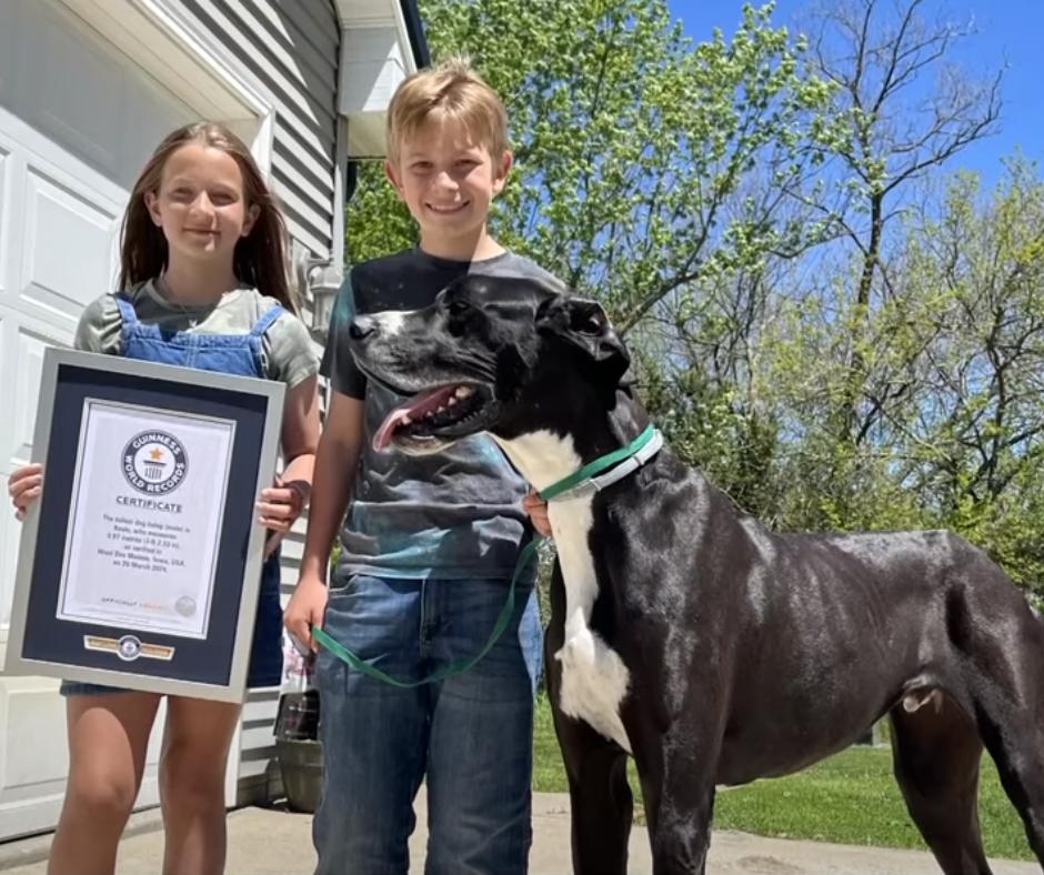 Discover the Heartfelt Tale of Iowa's Record-Breaking Dog