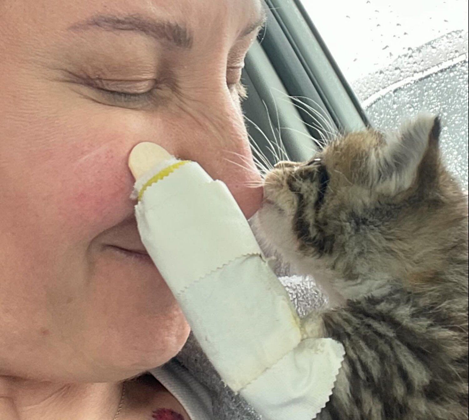 Incredible Transformation: How a Brave Kitten Overcame Obstacles to ...
