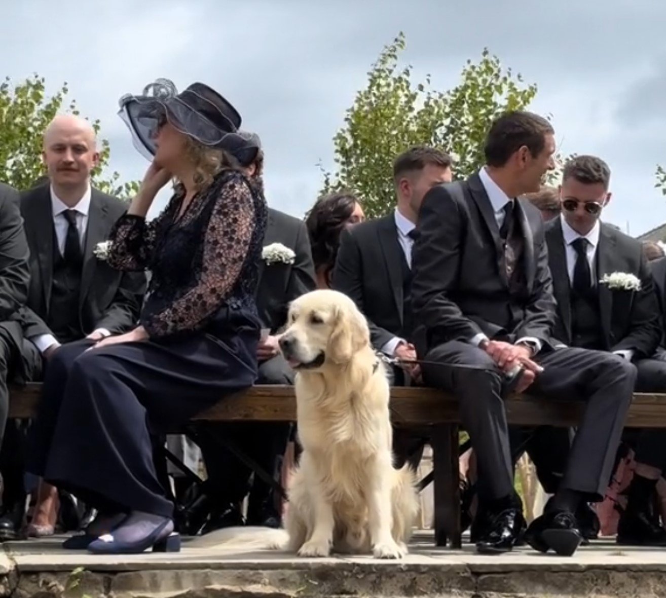 Couple's Wedding Takes an Unexpected Turn with Adorable Four-Legged Guests