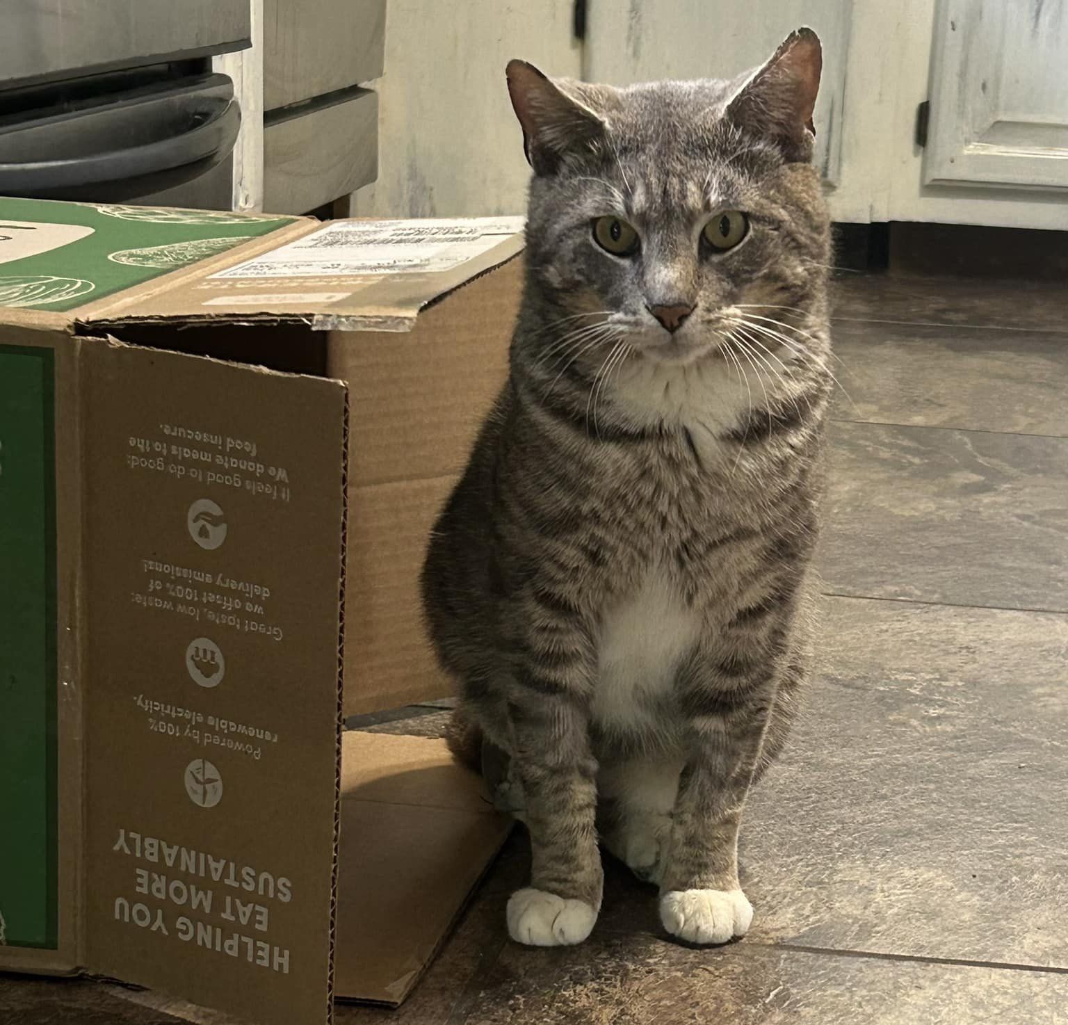 From Street Struggles to Indoor Triumph: The Inspiring Journey of a ...