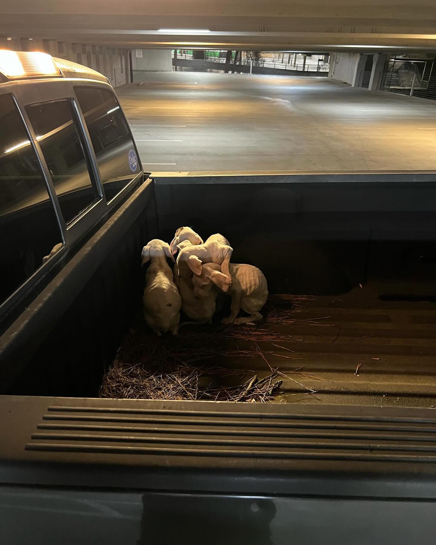 Heartfelt Discovery: Man's Unexpected Find Leaves Him Stunned