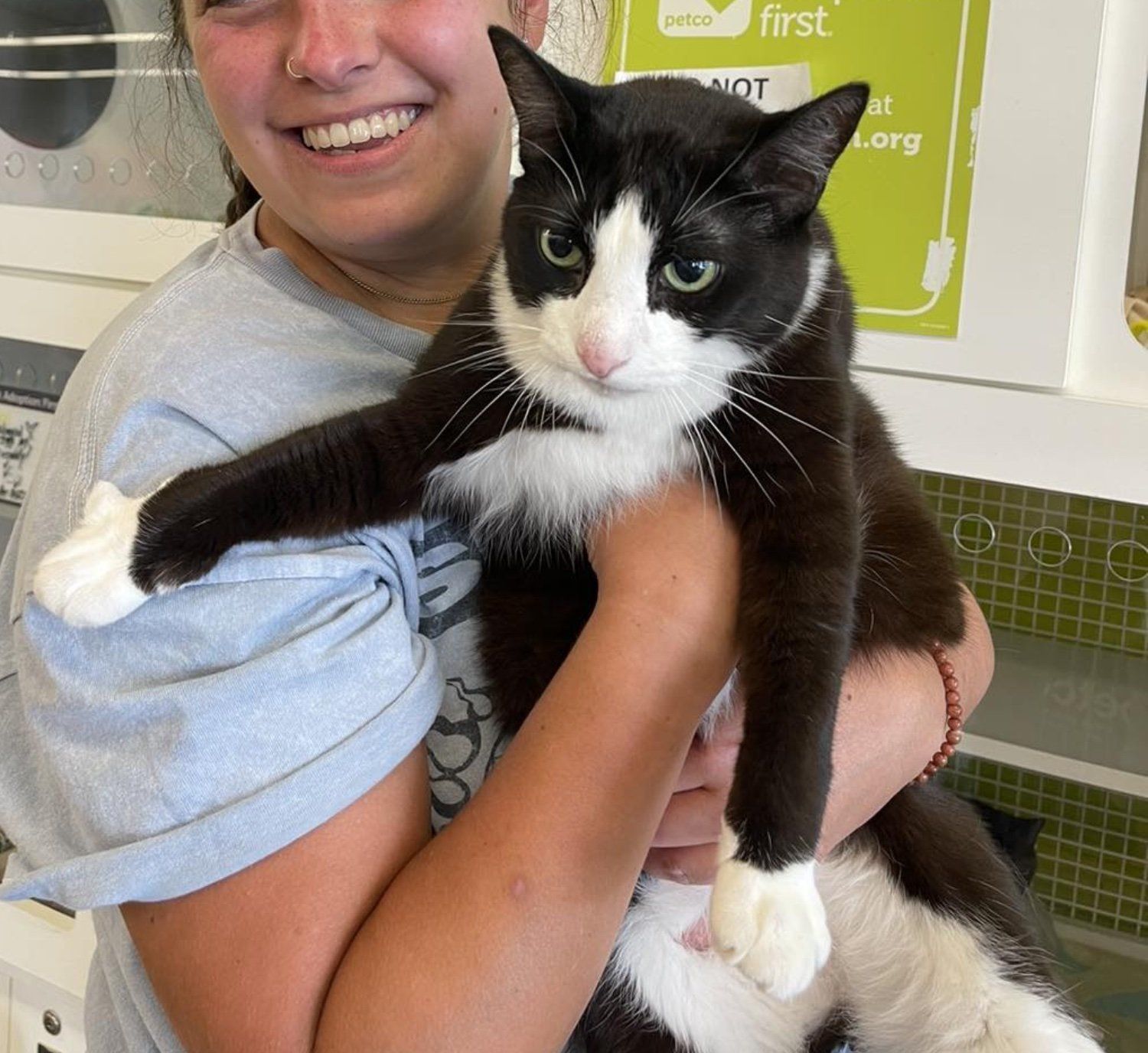 The Cat with a Toothy Grin: A Heartfelt Journey to Her Forever Home