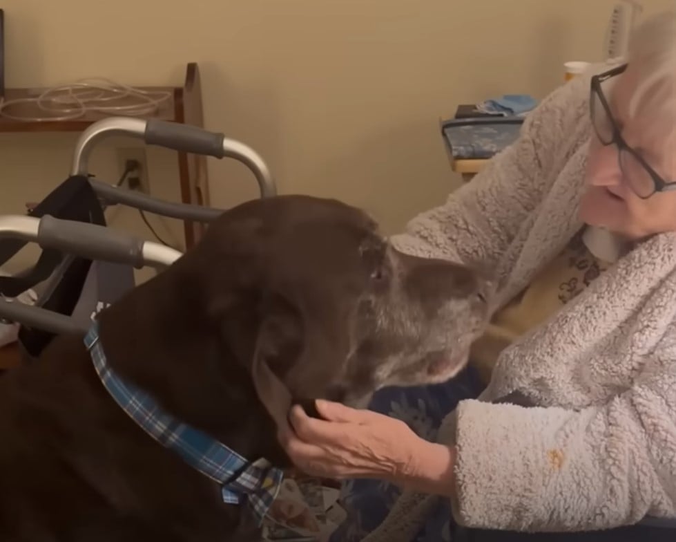 The Unbelievable Welcome Home Ritual That Will Melt Your Heart