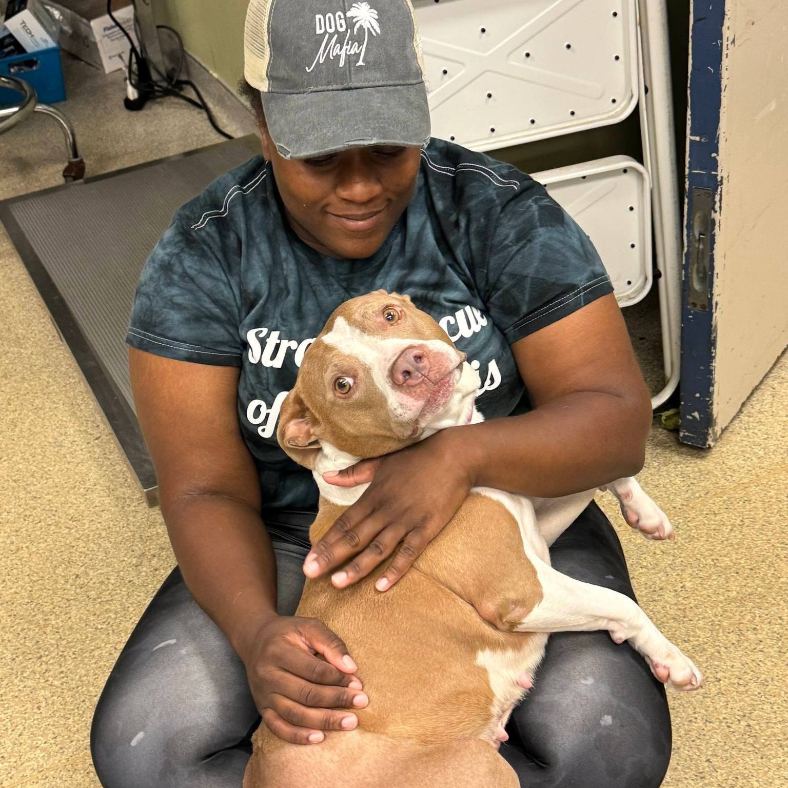 A Devastated Pup's Miraculous Roadside Rescue Will Tug At Your Heartstrings