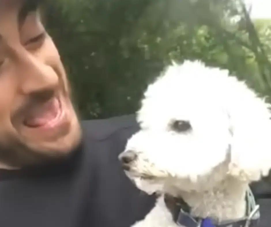 Brave Act on the Highway: Man's Heroic Effort to Save a Helpless Dog