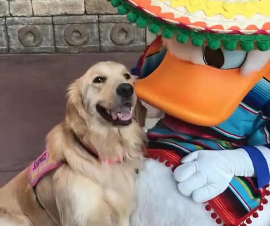 Dog's Magical Encounter with Disney Character Will Leave You Speechless!