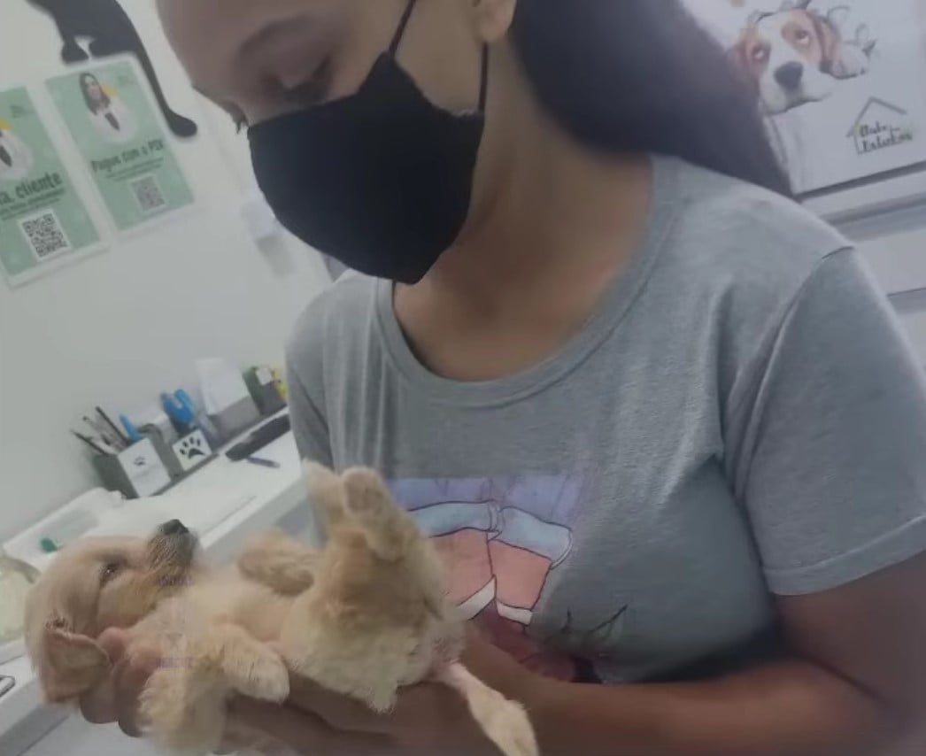 Incredible Discovery by a Stranger Leads to an Unbelievable Transformation