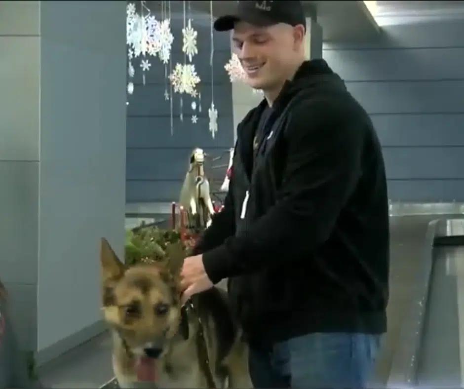 Unbreakable Bond: Military Dog and Handler's Tearful Reunion After ...