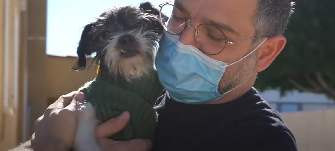 Watch What Happens When This Shivering Senior Dog Finally Finds Comfort