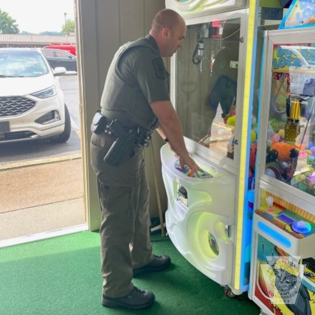 Kid Discovers Bizarre Surprise Inside Claw Machine That Left Everyone ...