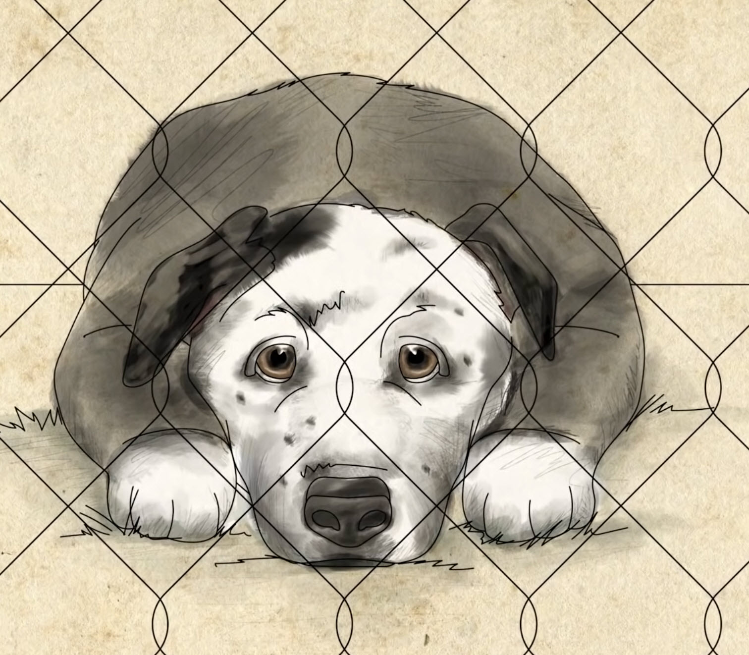 Man's Final Years Transformed by Unexpected Furry Hero