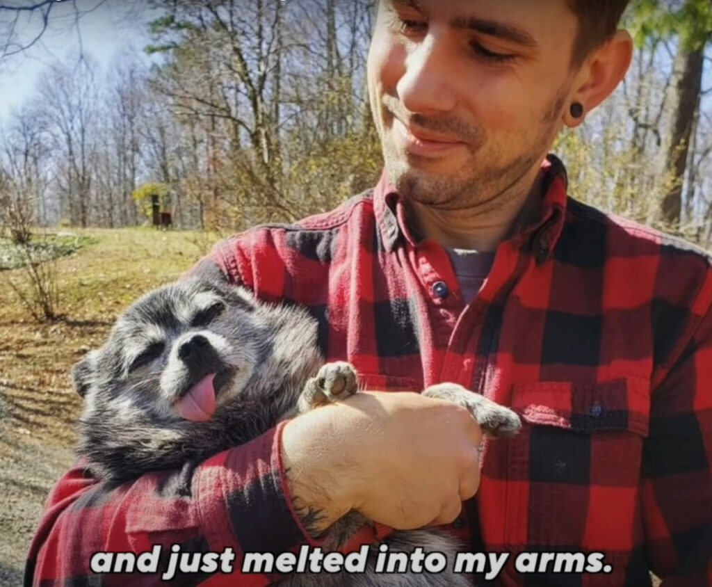 This Neglected Dog's Transformation Will Break and Warm Your Heart