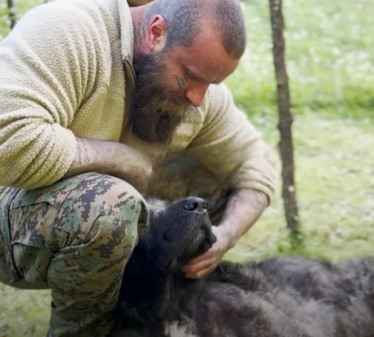 When No One Else Would, One Hero Took a Chance on This 'Terrifying' Dog