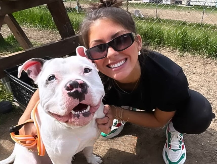 A Volunteer’s Unforgettable Encounter with the Dog That Changed Everything