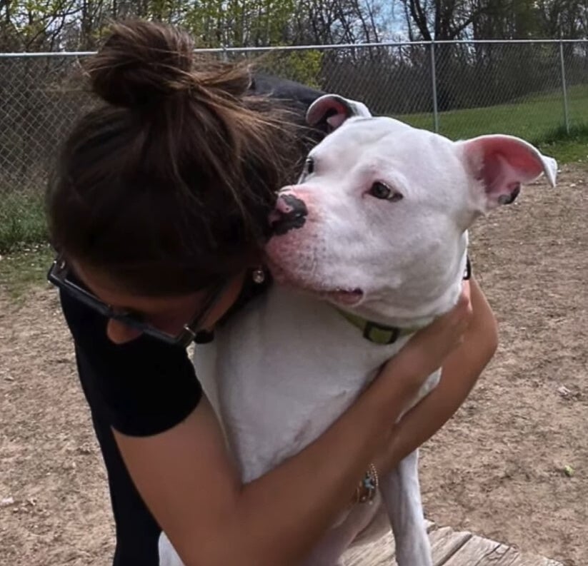 A Volunteer’s Unforgettable Encounter with the Dog That Changed Everything
