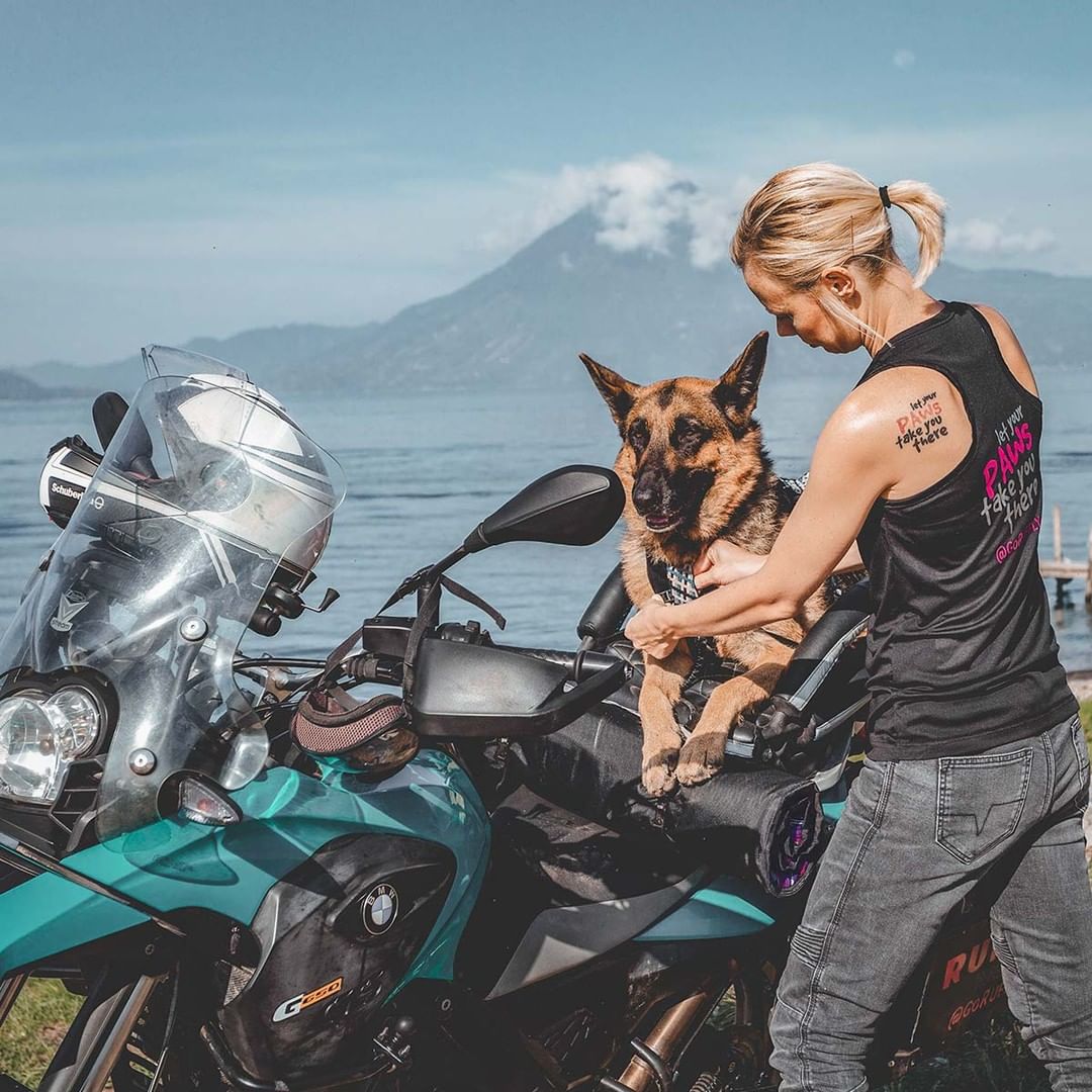 Journey of Healing: Woman and Her Dog's Motorcycle Adventures After ...