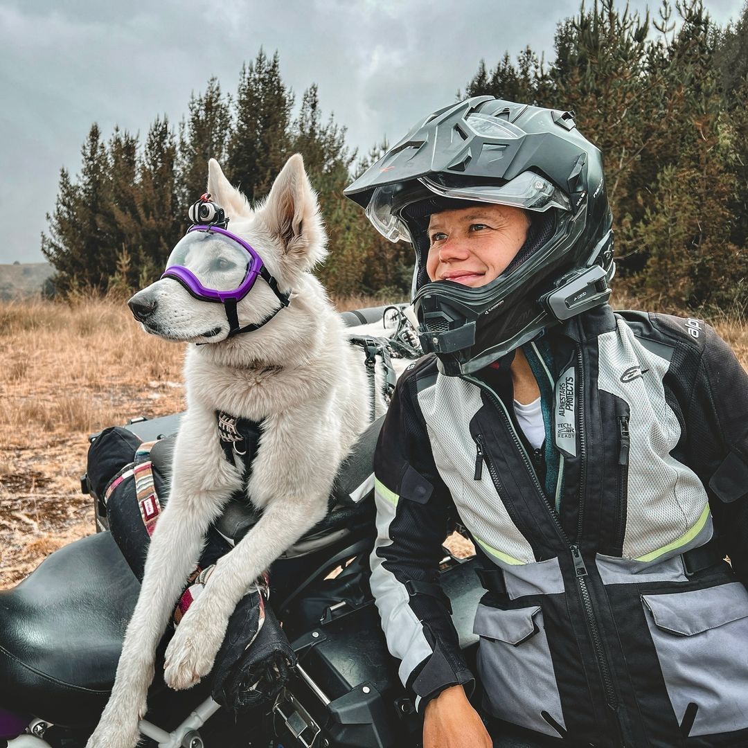 Journey of Healing: Woman and Her Dog's Motorcycle Adventures After ...
