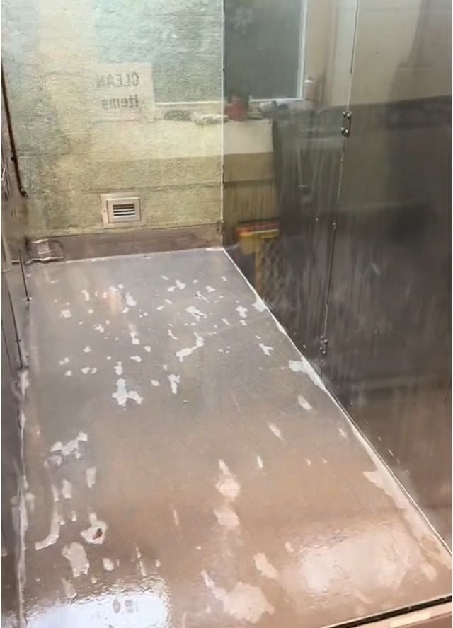 The Heartbreaking Goodbye: Shelter Worker Forms Unbreakable Bond With ...