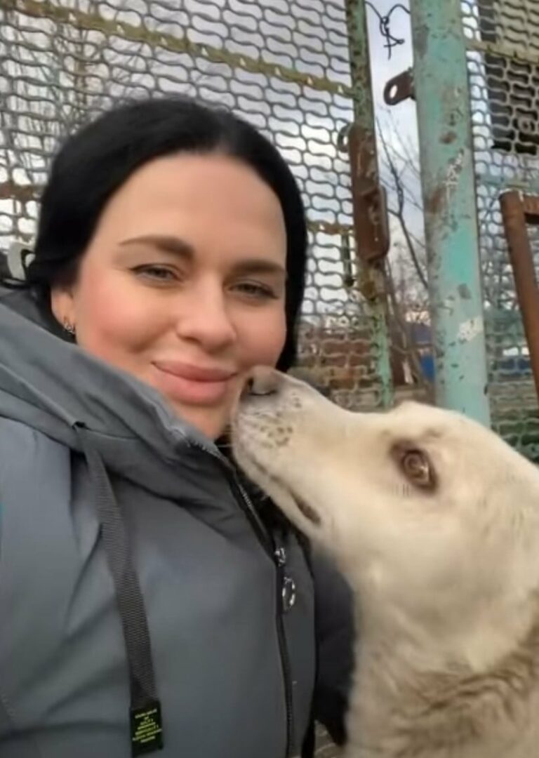 This Dog's Unbreakable Spirit Will Leave You Speechless