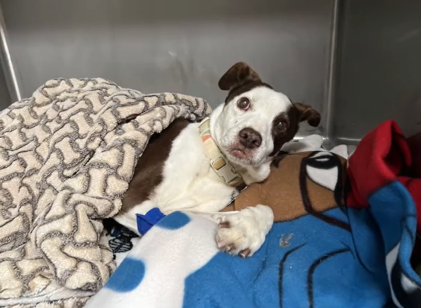 Witness the Tearful Farewell That Has Touched Thousands